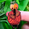 Milky's Creative Pin Club – Milky Tomato