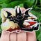 Tooth Demon Stickers | Milky Tomato